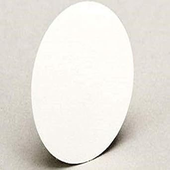 MSA 710917 Hydrophobic Probe Filter, White, Standard: Safety Equipment ...