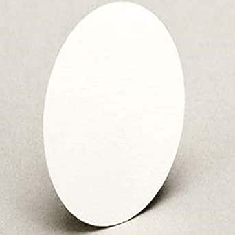 MSA 710917 Hydrophobic Probe Filter, White, Standard: Safety Equipment ...