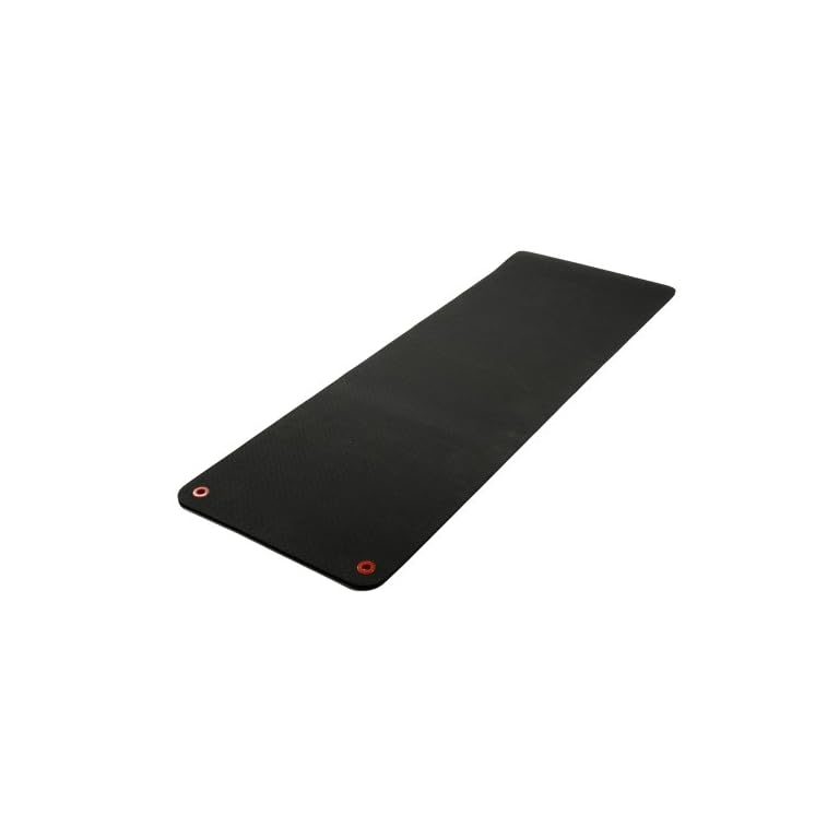 SPRI Hanging Exercise Mat – GoodGear | Go Good Guru