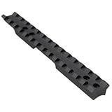 EGW Savage Mark II Picatinny Rail Scope Mount, 20 MOA: Amazon.ca ...