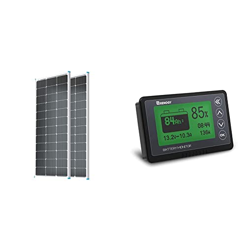 Renogy 2PCS Solar Panels 100 Watt 12 Volt High-Efficiency ...