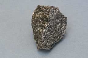 SciEd Individual Rock Specimens: Igneous Rocks; Diorite, medium-grained ...
