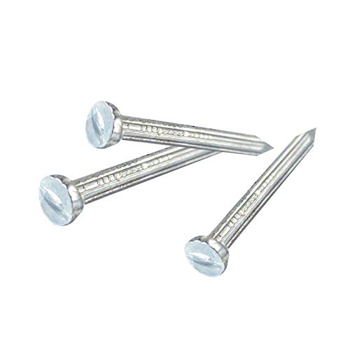 ZUA,Hard Steel Concrete Nails 1 inch (25 mm) Pack of 200 Pieces (1 ...