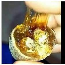 Snot Apple (Goron tula Fruit) Azanza garckeana (Fruit) | Pricepulse