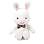 Amazon.com: Korea Drama You're Beautiful PIG Rabbit Doll 55cm/21.65inch ...