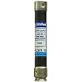 Littelfuse FLSR-10 (FLSR 10A) 10 Amp Dual Element Time-Delay Class RK5 ...