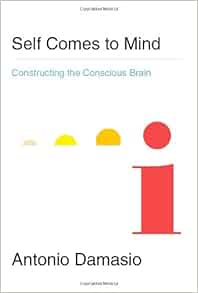 Self Comes to Mind: Constructing the Conscious Brain: Damasio, Antonio ...