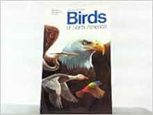 Field Guide to the Birds of North America: National Geographic ...