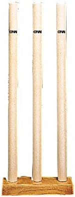 GM Playground Cricket Stumps – BigaMart