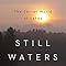 Still Waters: The Secret World of Lakes: Stager, Curt: 9780393292169 ...