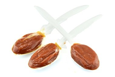 Amazon.com : Authentic Sabores - Candy Spoon Tamarind Flavored Cucharon ...