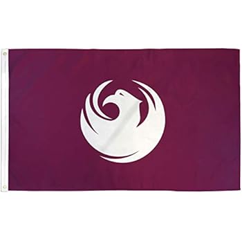 Amazon.com : AZ FLAG Phoenix Flag 3' x 5' - Phoenix City - Arizona ...
