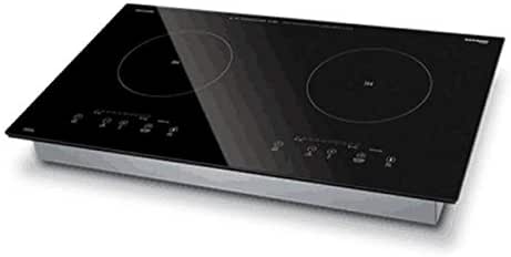 Amazon.com: Ginvy 12V Battery Powered Solar Induction Cooker 1000W ...