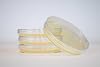 Tryptic Soy Agar (TSA), (10-Pack), Pre-Poured, Flat-Packed, Vacuum ...
