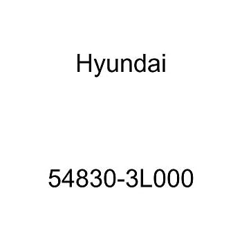 Amazon.com: Genuine Hyundai 54830-3K000 Stabilizer Link Assembly, Front ...
