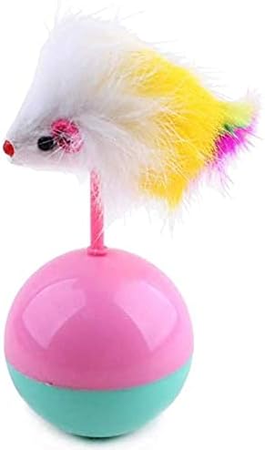 Interactive Roly-poly Cat Toy and Feather Mouse price in Egypt | Amazon ...