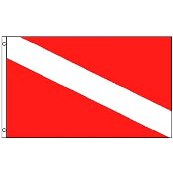 Amazon.com : New 2x3 PADI Flag Scuba Dive Diving Diver Down Flags ...