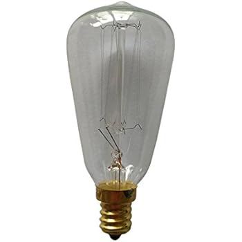 Vintage Edison Bulb, ST38, 40w, Candelabra E12, 2-Pack, ScentSationals ...