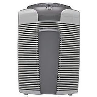 Hunter 30547 21-Feet by 23-Feet Permalife Room Air Purifier and Ionizer ...
