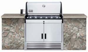 Weber 5390501 Summit Gold D Stainless-Steel Built-in Natural-Gas Grill ...