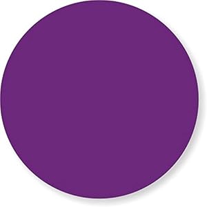 Amazon.com: 3/4" Diameter Purple Circle Labels (500 per Roll): Office ...