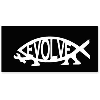 Amazon.com: Darwin Fish Evolution Symbol Decal Funny Car Truck Sticker ...