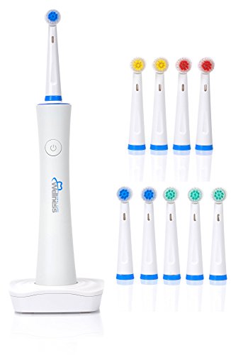 Wellness Oral Care Advanced High Powered Rotary Oscillating ...