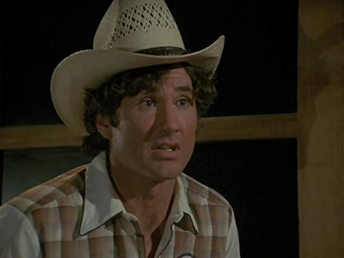 Watch The Fall Guy - Season 1 | Prime Video