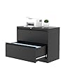 MIIIKO 2 Drawer Lateral File Cabinet with Lock, Filing Cabinet for Home Office, Easy Assemble ...