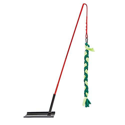 Tetherball for Dogs: 5 Options for an Active Pet in 2019: Own The Yard