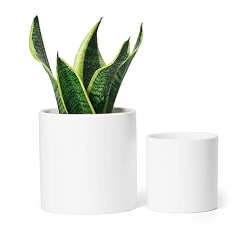 Greenaholics Plant Pots White Ceramic Pots for Plant 6+4.7Inch Matte ...