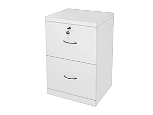 Amazon.com: Z-Line Designs 2-Drawer White Vertical File, White: Kitchen ...