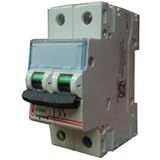 Legrand DX 3 32-Amp 2-Pole C Curve MCB 408636 (White): Amazon.in: Home Improvement