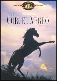 Amazon.com: El Corcel Negro (1979) the Black Stallion - Region 2 - Non ...