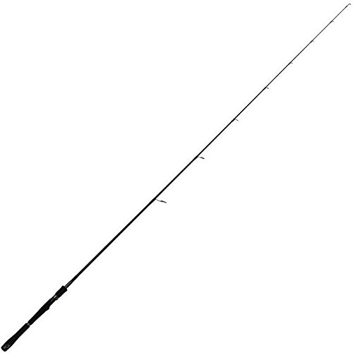 Canne Spinning Tenryu Injection Sp 64 Ml - Passion Pêche