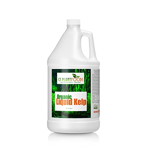 Organic Kelp Fertilizer by GS Plant Foods - Omri Listed(1 Gallon ...