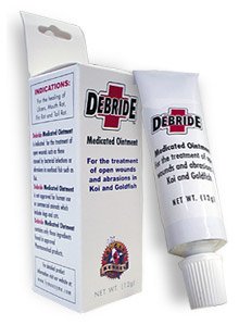 Amazon.com: Debride Medicated Ointment Debride Medicated Ointment 1oz ...