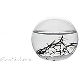 Ecosphere Closed Aquatic Ecosystem, Small Sphere: Amazon.co.uk: Pet ...