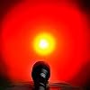 Red LED Flashlight Predator Light 350 Yards Red Light Coyote Varmints ...