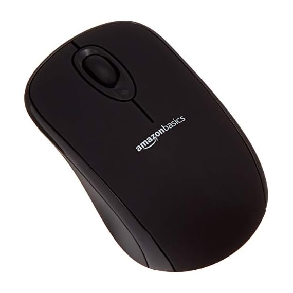 AmazonBasics Wireless Computer Mouse with Nano Receiver | Electronics ...