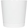 Amazon.com : Novelty Majestic Full Depth Cylinder Pot, Glossy White, 12 ...