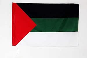 Amazon.com : AZ FLAG Pan-Arabism Flag 2' x 3' for a Pole - Arabist ...