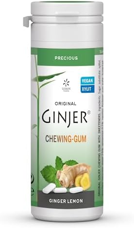 Ginjer Sugar-Free Ginger and Mints Flavored Chewing Gum 30 g price in ...
