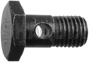Amazon.com: Genuine Volvo 31325709, Hollow Screw (Banjo Bolt) : Automotive