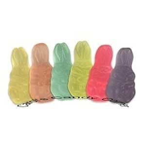 Amazon.com : Albanese Assorted Pastel Easter Gummy Bunnies (1 Lb - 16 ...