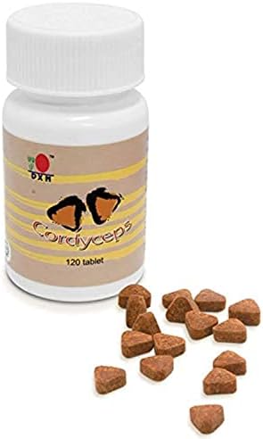 DXN Cordyceps Mushroom Candy 120 price in UAE | Amazon UAE ...