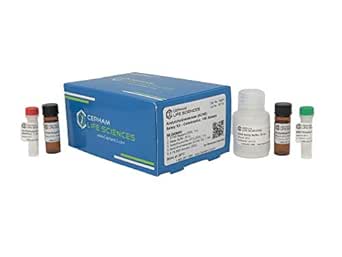 Amazon.com: Acetylcholinesterase Assay Kit for Sensitive Detection of ...