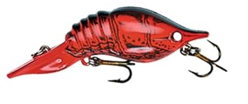 Amazon.com : Mann's Bait Company Crawdad Fishing Lure (Pack of 1), 1/8 ...