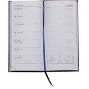 Diary Slim Week to View Portrait Notes Blue 2013: Amazon.co.uk: Electronics