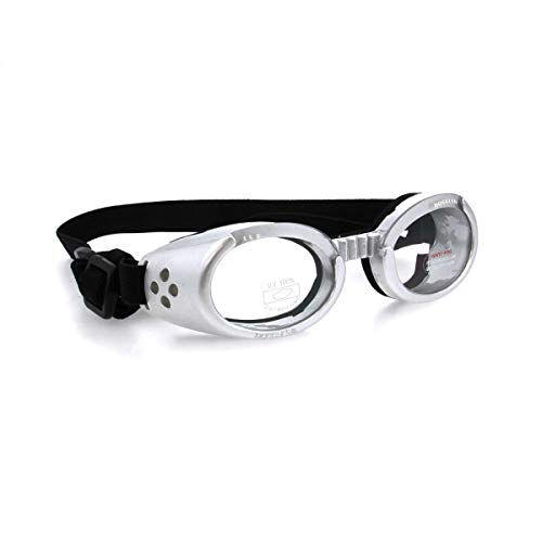 The Best Dog Goggles - Dogtime